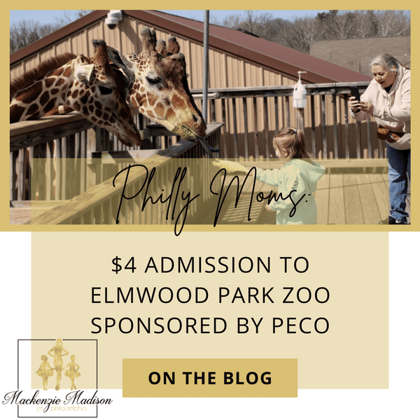 $4 Admission for EBT Holders at Elmwood Park Zoo | Philly Moms ...