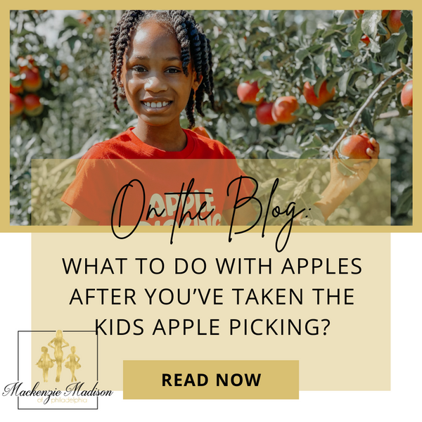 What to Do with Apples After Apple Picking with Kids | MMofPhilly ...